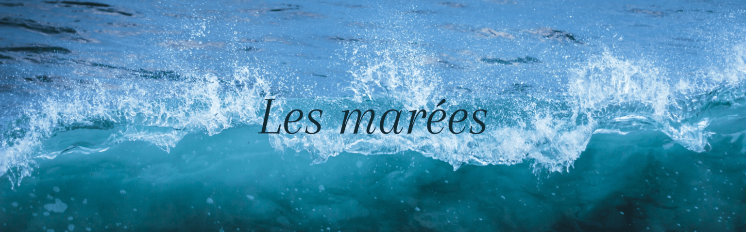 TOUT SAVOIR SUR LES MAREES EN BRETAGNE – Le gîte de Kergoff